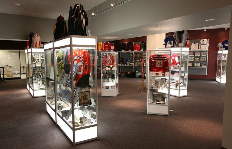 Museum Quality Display Cases for Galleries: – Custom Display Projects Blog